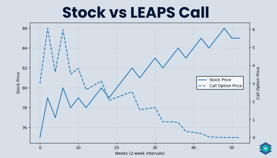 LEAPS Options Strategy: Beginner's Guide | TradingBlock